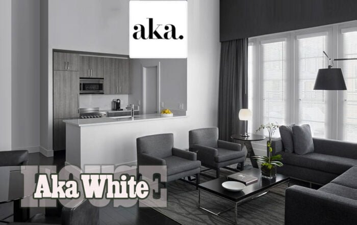 Aka White House: The Official Residence of US Presidents - Arteriors Home